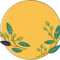 Verani Cosméticos – Beleza em Abundância